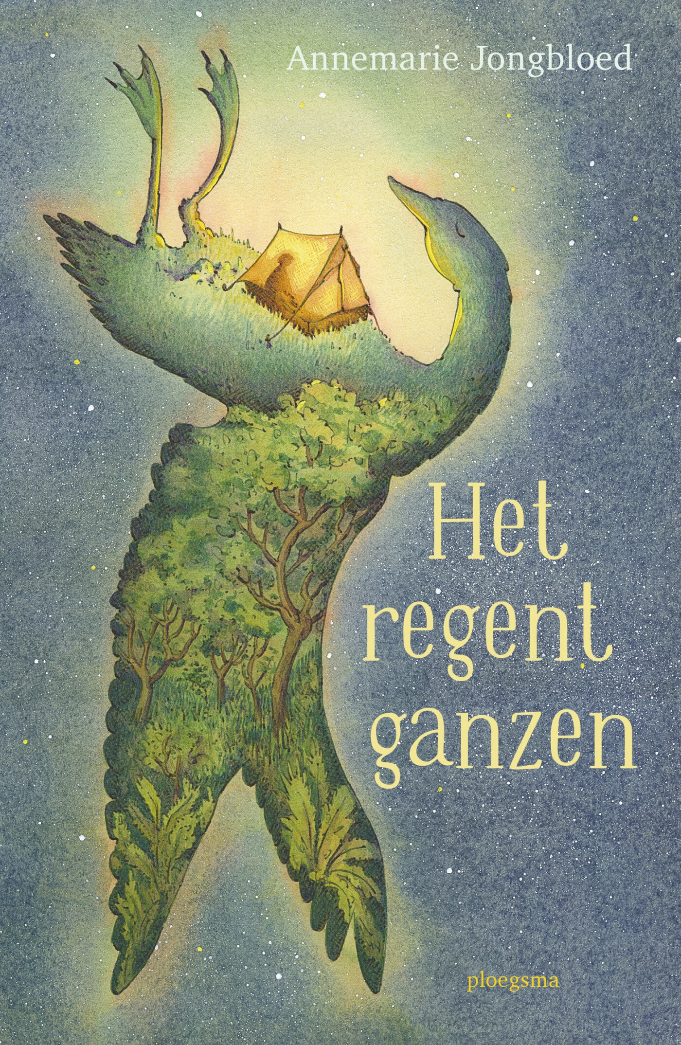 Het regent ganzen | Boekhandel Pardoes